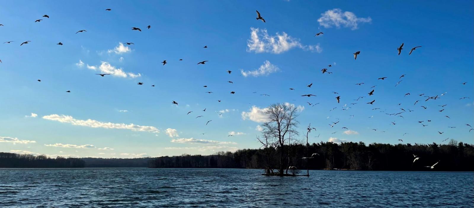 Greg Small | Maryland State Arts Council