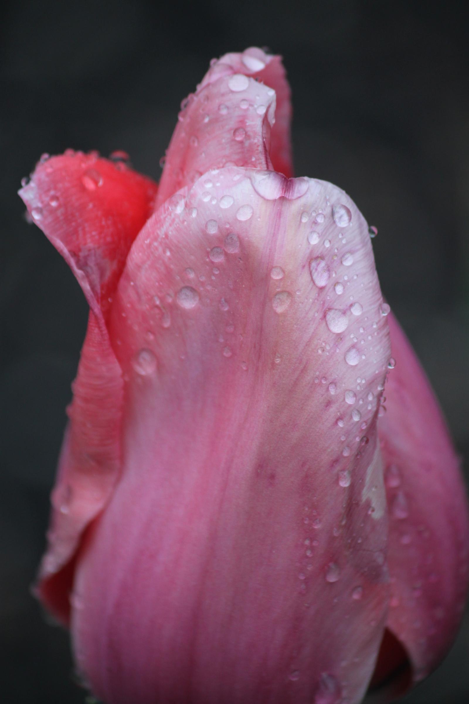 Sarah Paterson | Maryland State Arts Council