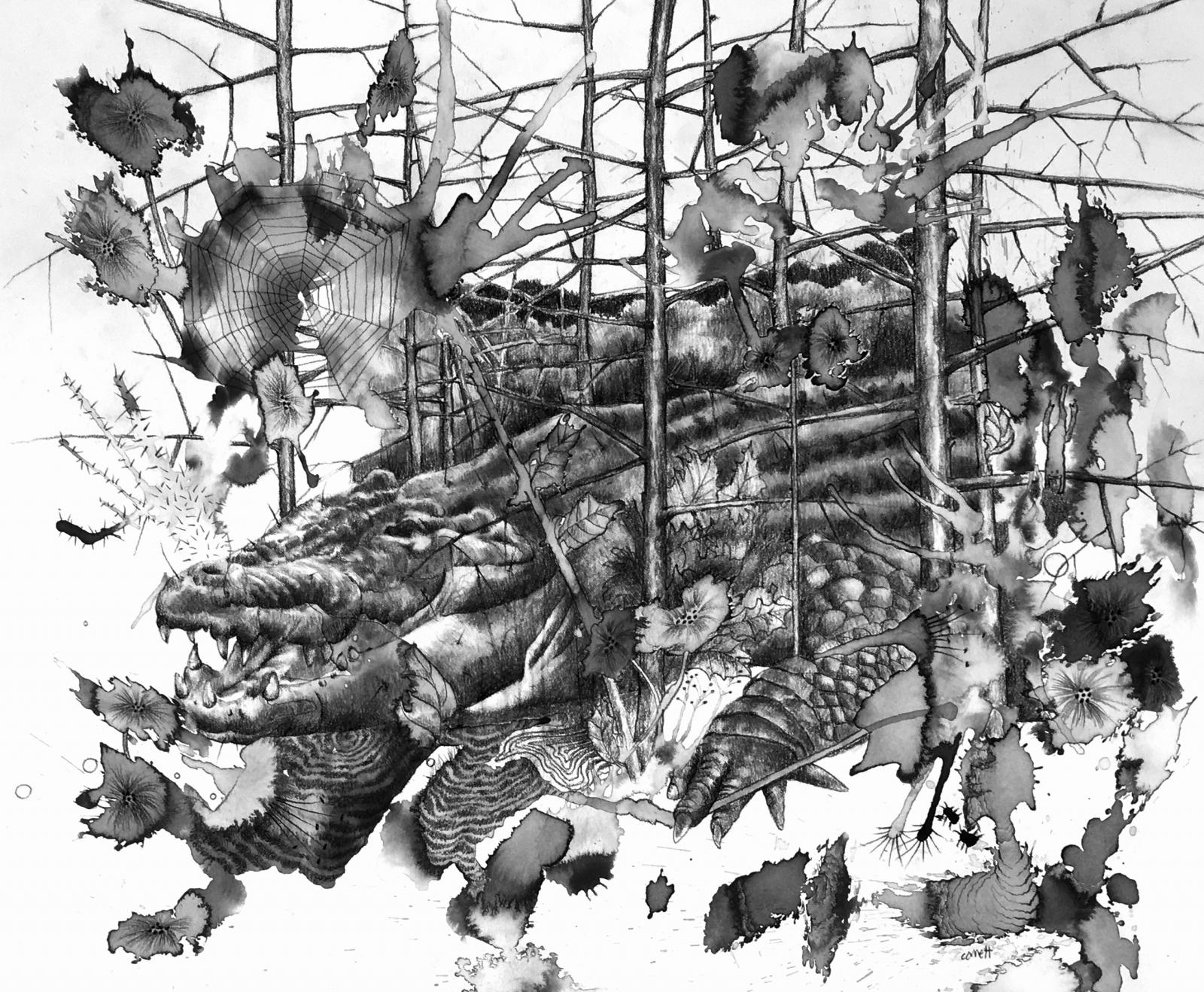 ELLEN CORNETT | Maryland State Arts Council